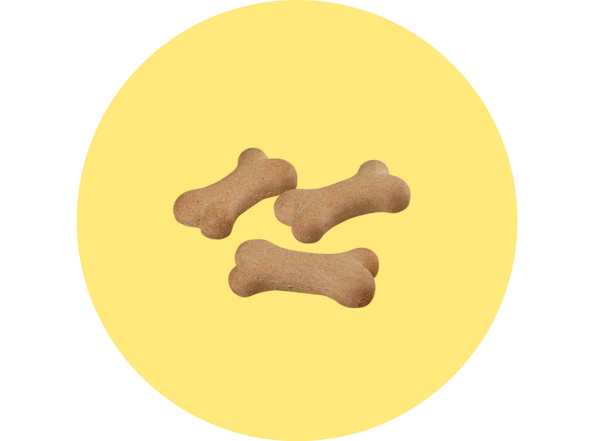 Dog Treats | Puppy Treats | Dog Shop | Pet Shop | Hong Kong – PetShack.hk