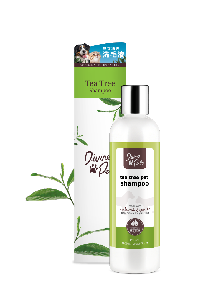 Divine Pets - Tea Tree Shampoo 500ml – PetShack.hk