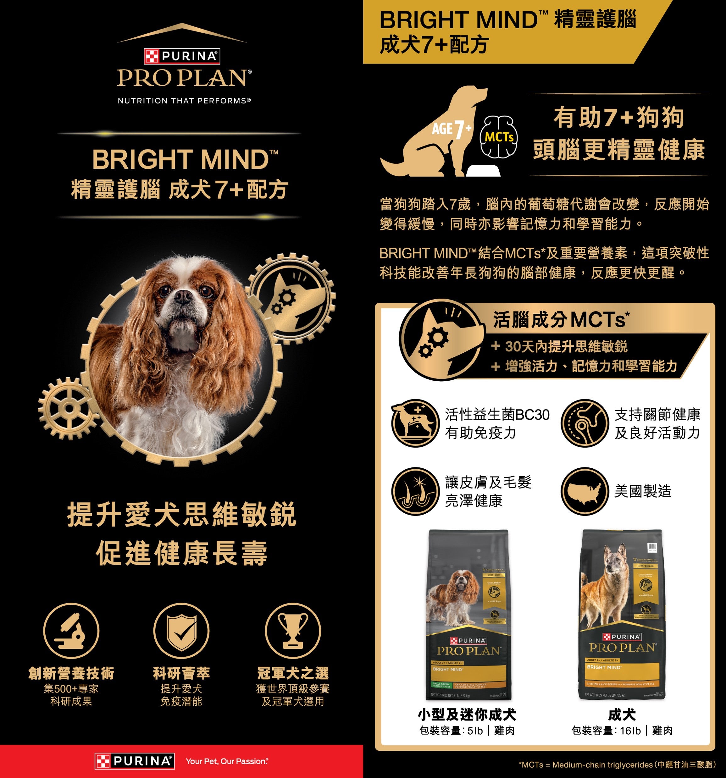 Purina Pro Plan Bright Mind - Small & Mini Adult 7+ Dog Food - Chicken ...