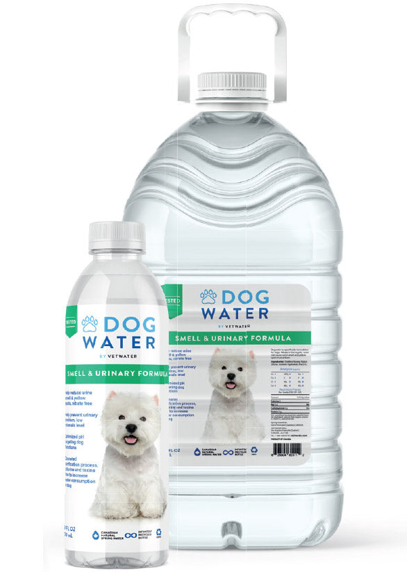 VetWater - Dog Water pH Balanced Urinary Formula - 500ml – PetShack.hk